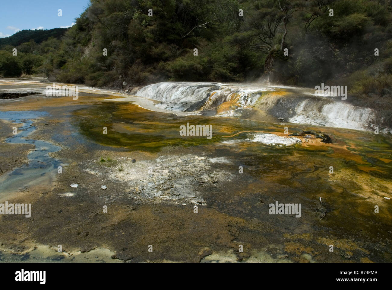 The Warbrick Terrace at Waimangu Volcanic Valley near Rotorua, New ...