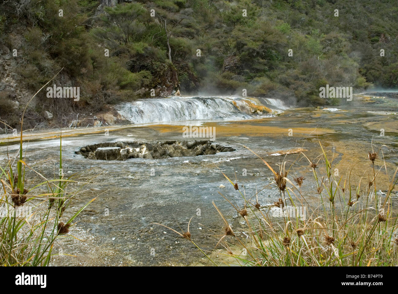 The Warbrick Terrace at Waimangu Volcanic Valley near Rotorua, New ...