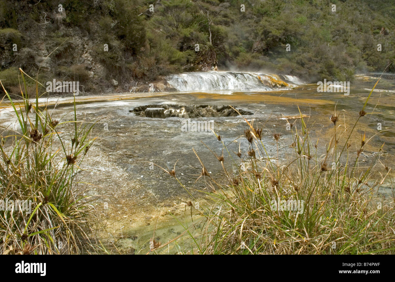 The Warbrick Terrace at Waimangu Volcanic Valley near Rotorua, New ...