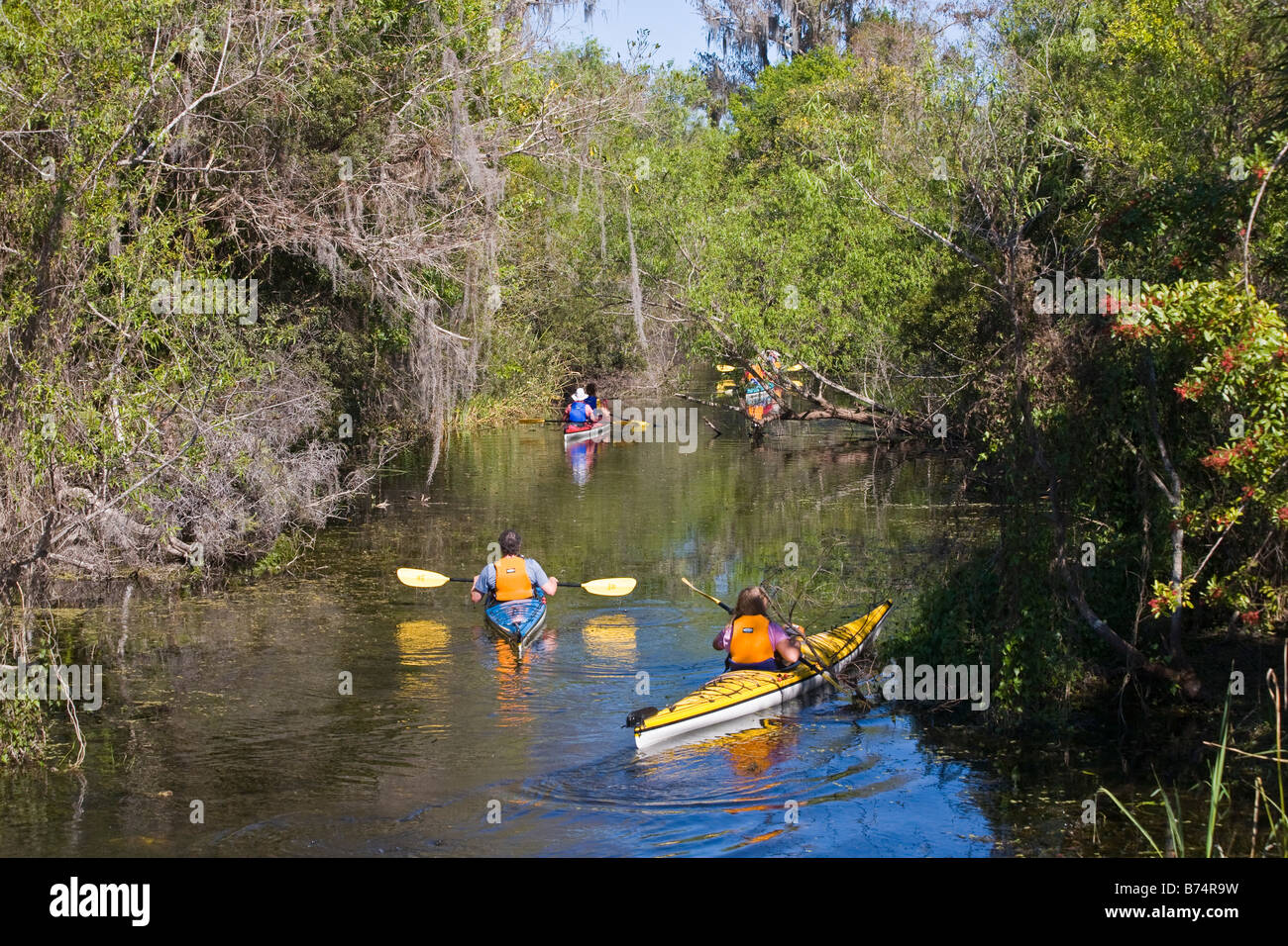 Florida river kayaking hi-res stock photography and images - Alamy
