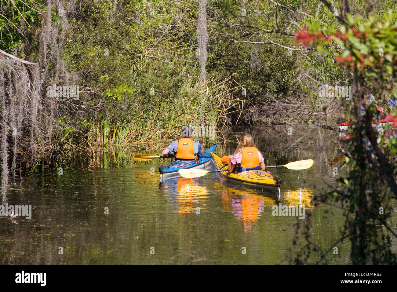 Kayaking in the Turner River in Big Cypress National Preserve in ...