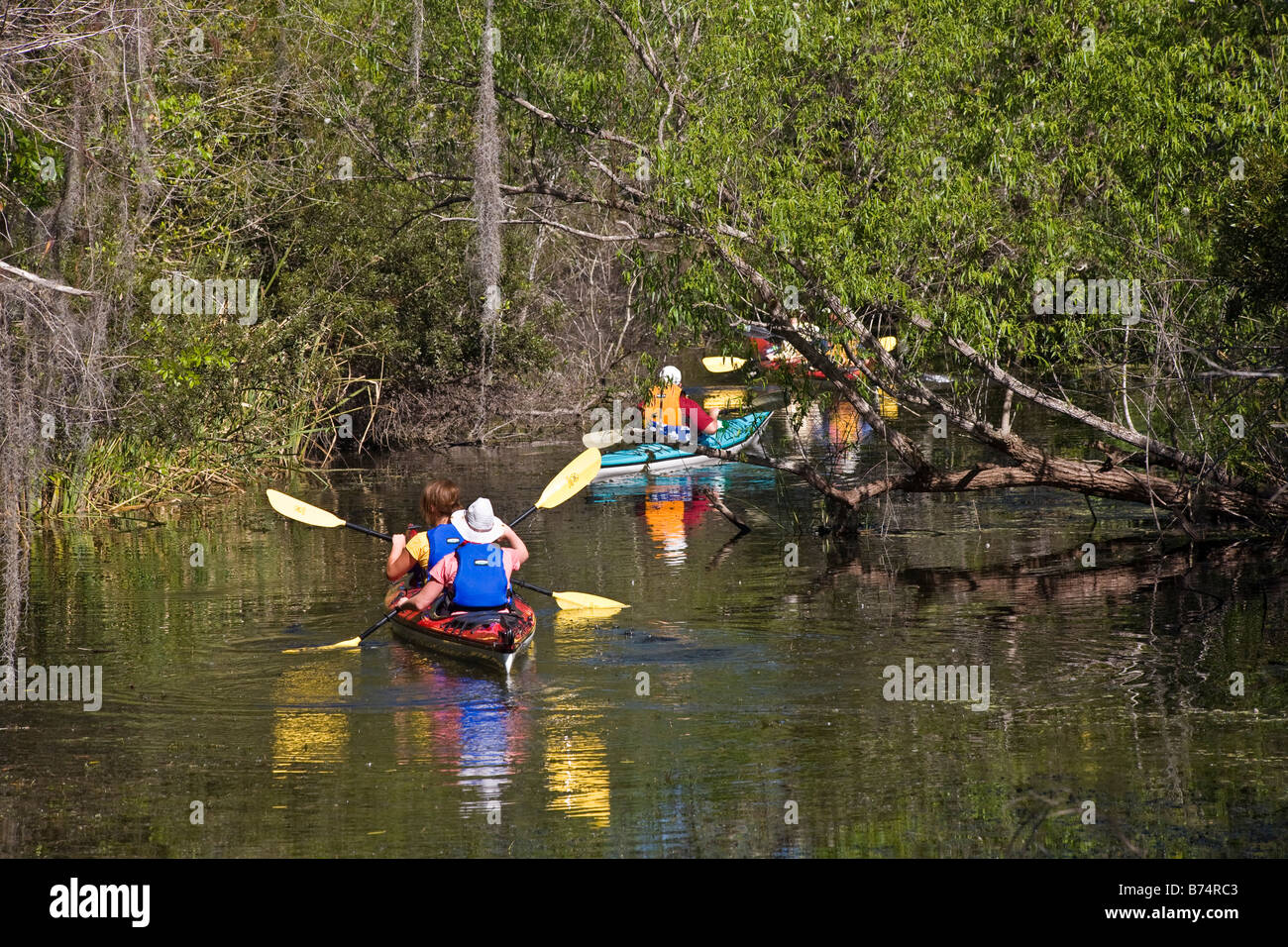Kayaking in the Turner River in Big Cypress National Preserve in ...