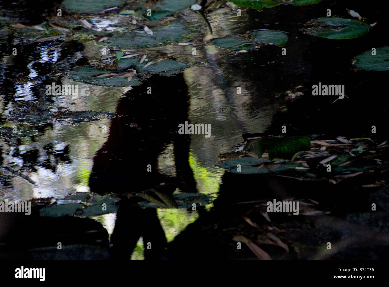 a reflection of a girl in a lake Stock Photo - Alamy