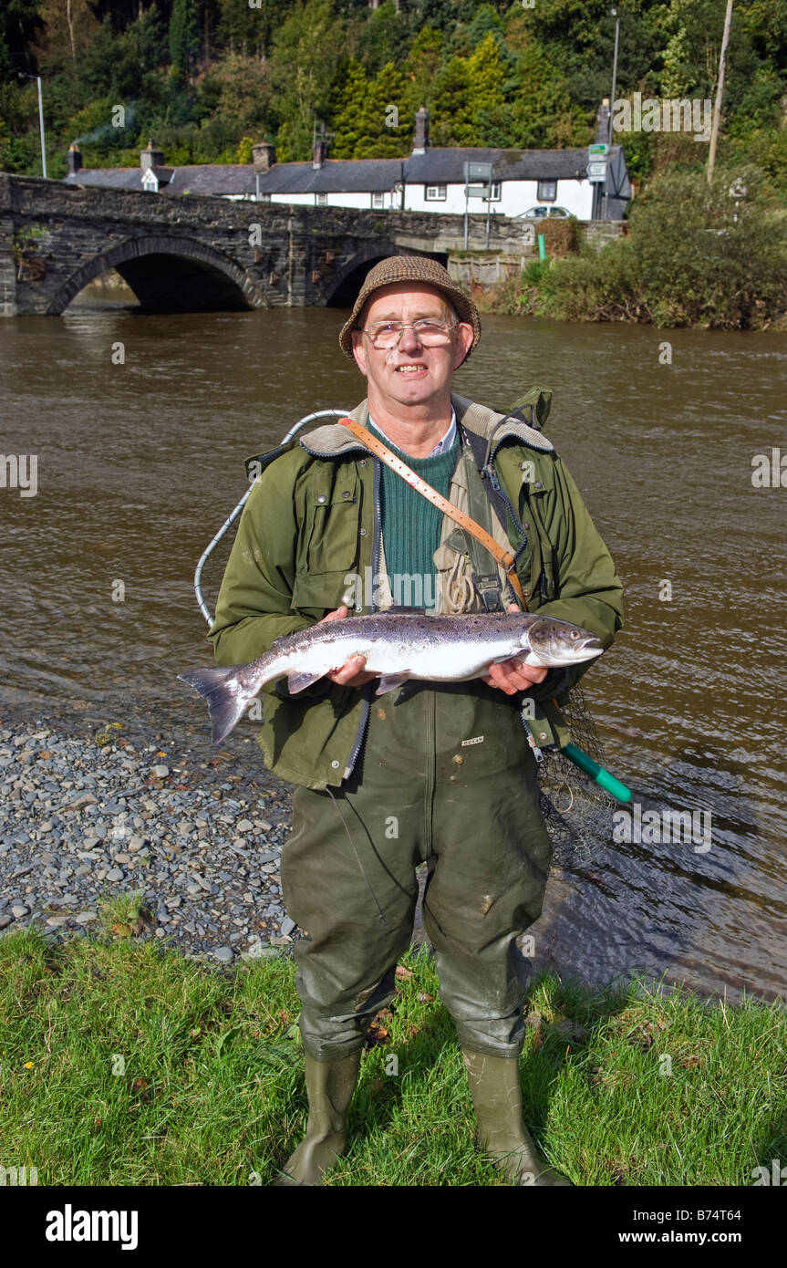 Angler with salmon caught fishing the River Dovey at Dyfi Bridge ...