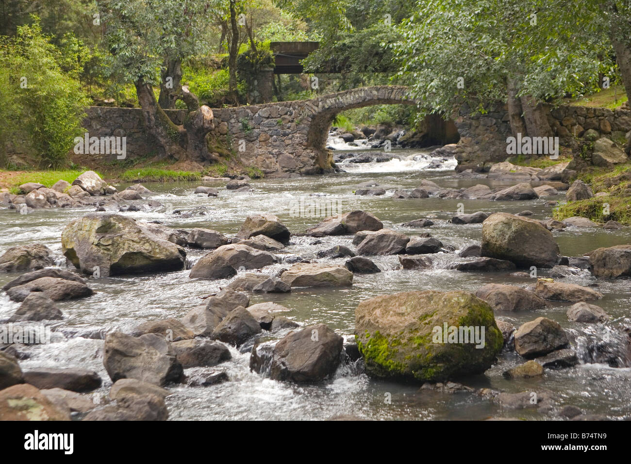 Stream at Cascada Salto de Quetzalapa Stock Photo - Alamy