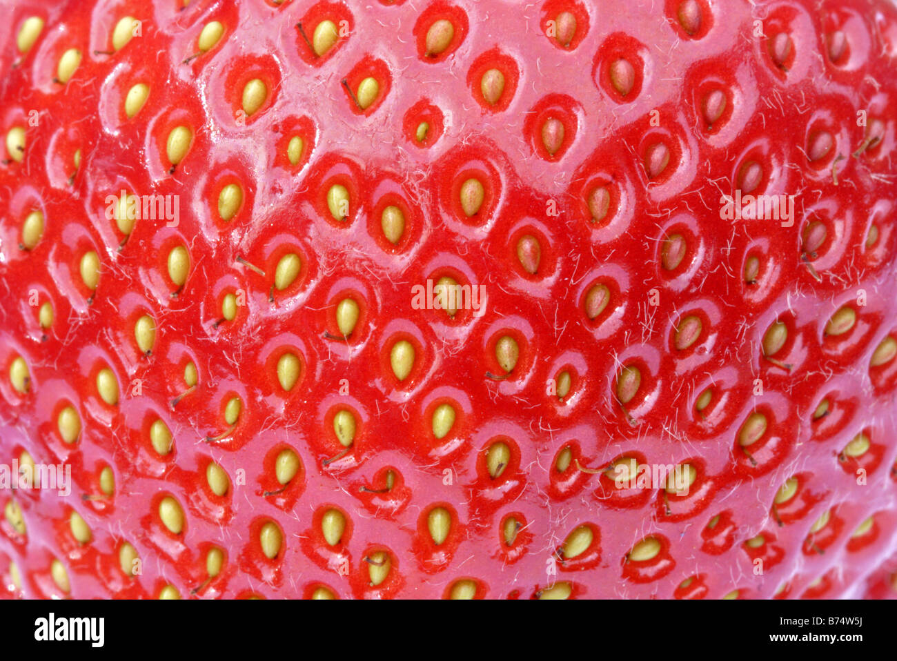Strawberry skin texture Stock Photo - Alamy