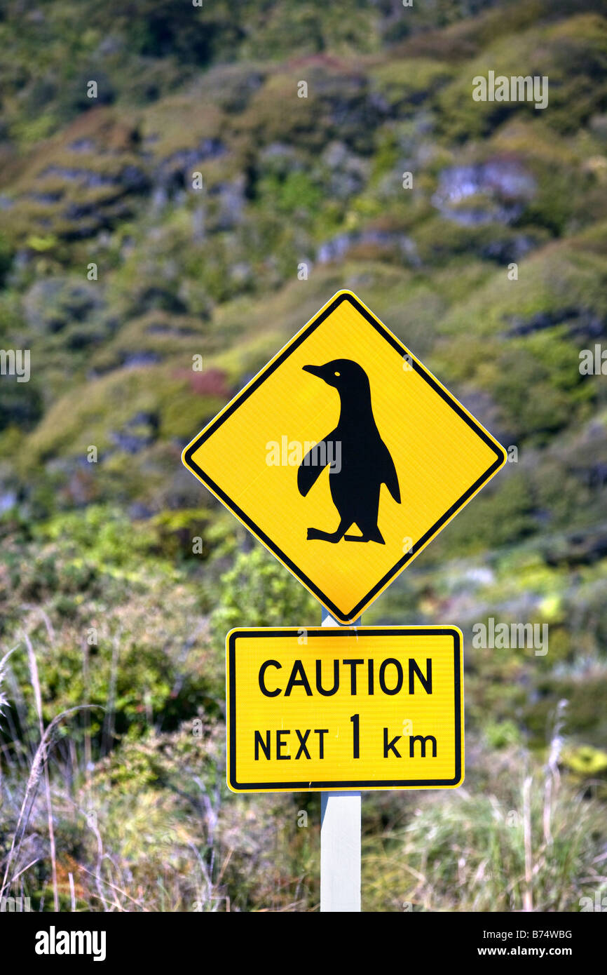 Penguin warning sign new zealand hi-res stock photography and images ...