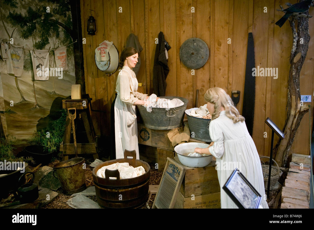 New Zealand, North Island, Matakohe, Kauri Museum Stock Photo - Alamy