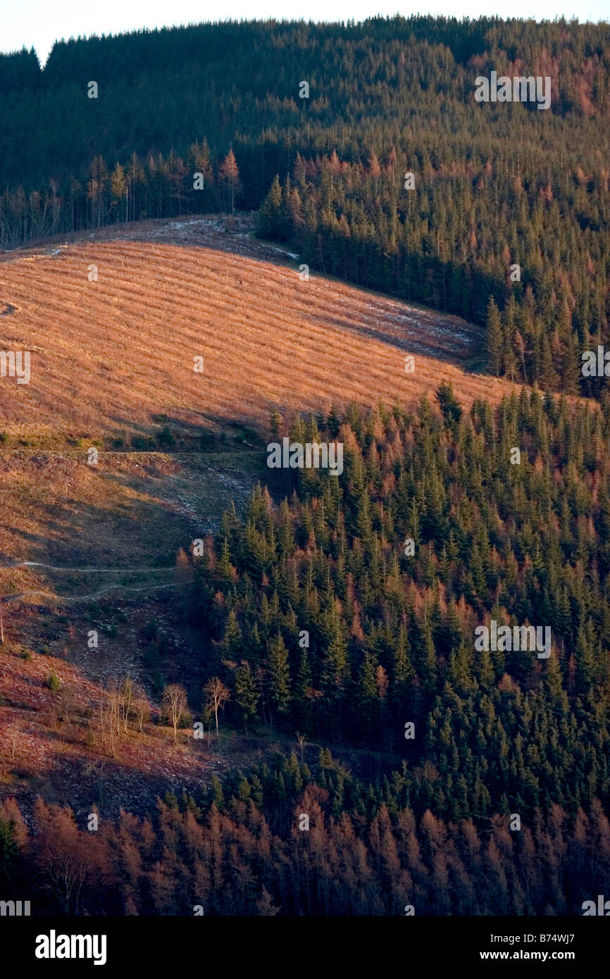 Colours of tweed hi-res stock photography and images - Alamy