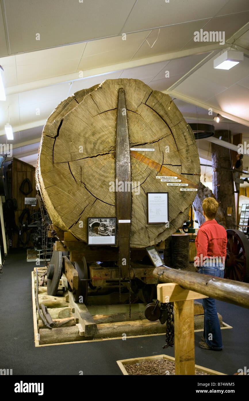 The kauri museum hi-res stock photography and images - Alamy