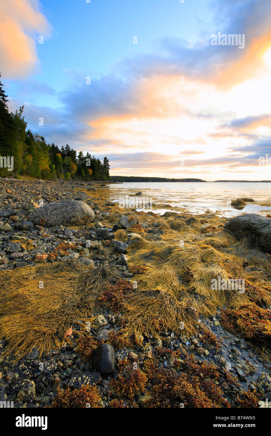 Sunset, Pretty Marsh, Acadia National Park, Maine, USA Stock Photo - Alamy