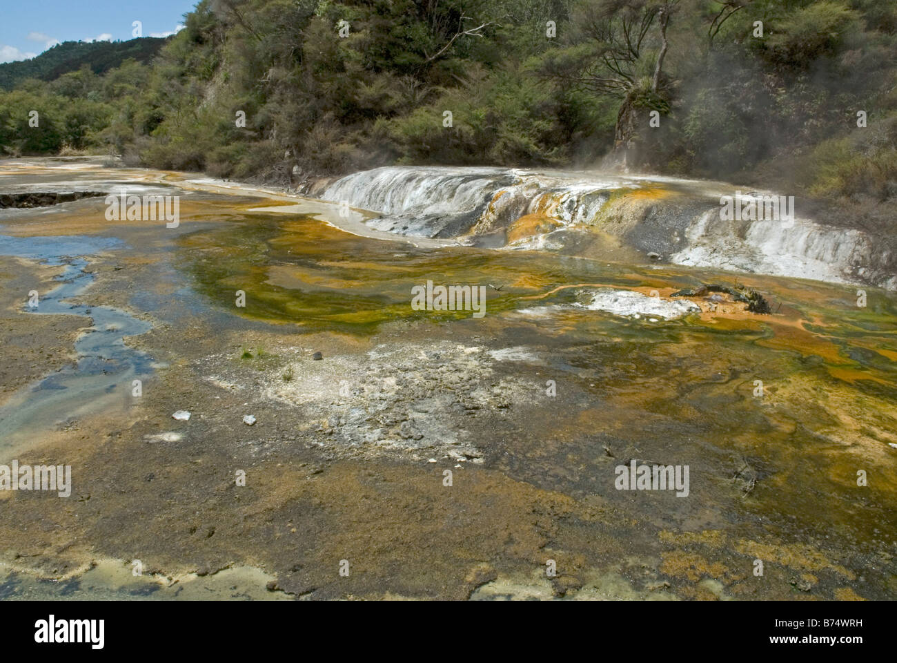 The Warbrick Terrace at Waimangu Volcanic Valley near Rotorua, New ...