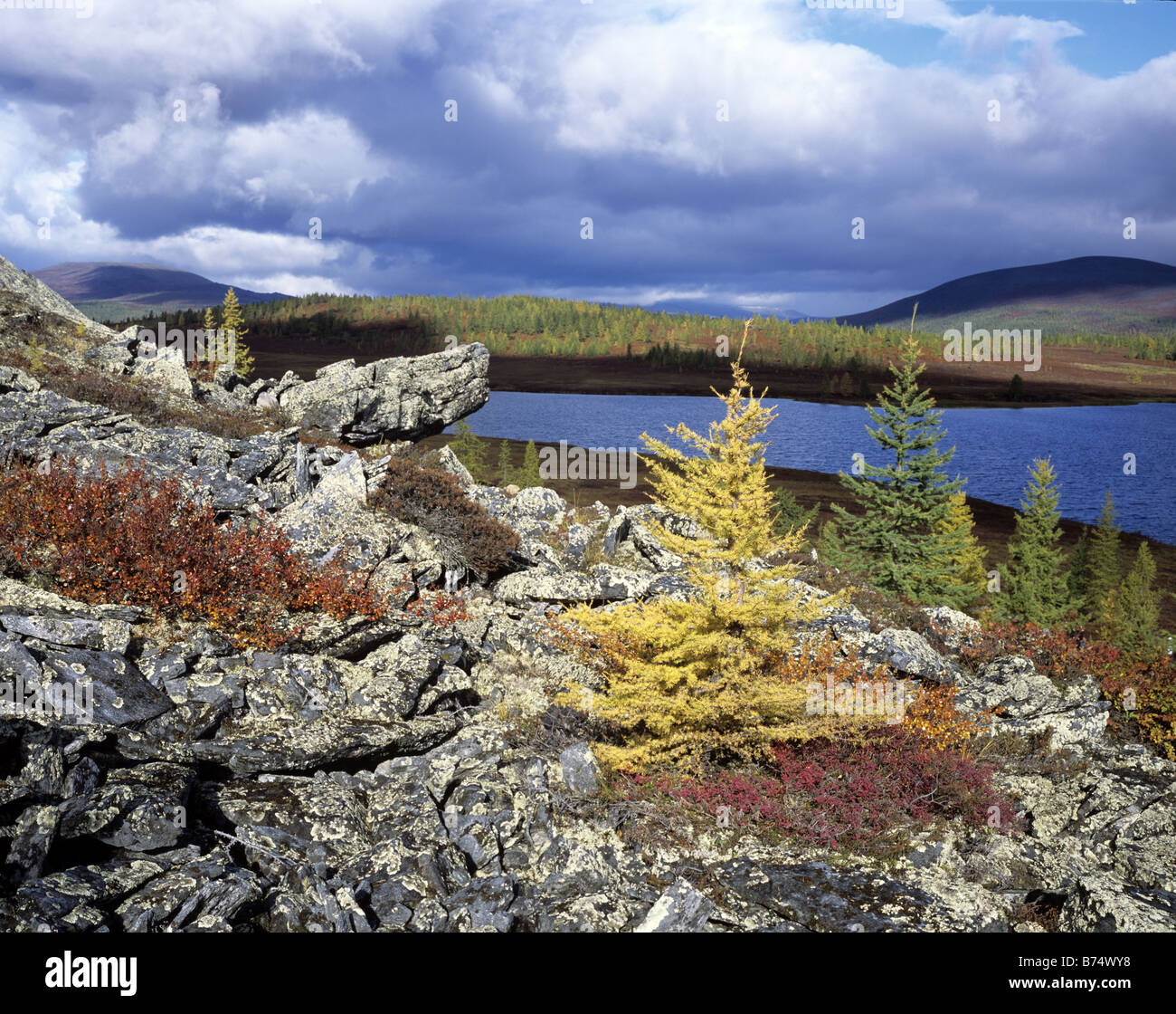 Yamal Region, Russia, Autumn, Polar Urals Stock Photo - Alamy