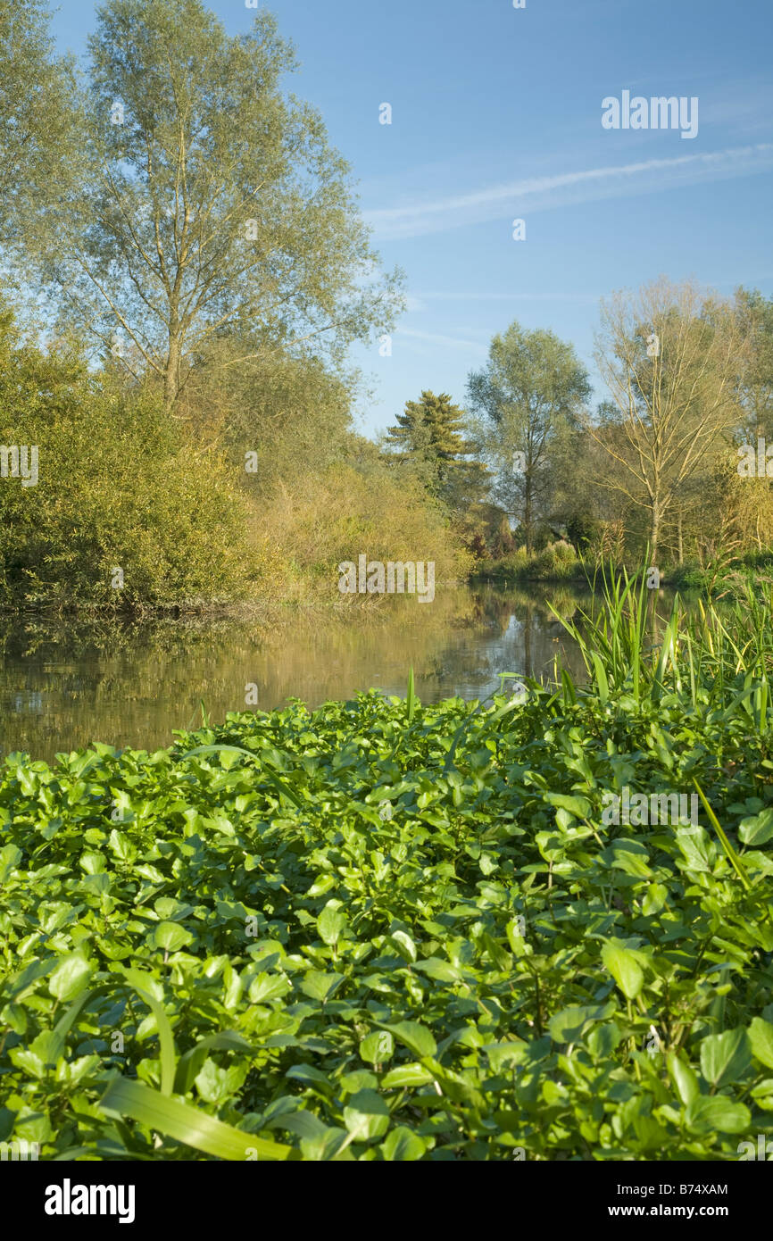 River Kennet at Aldermaston Near Reading Berkshire Uk Stock Photo - Alamy