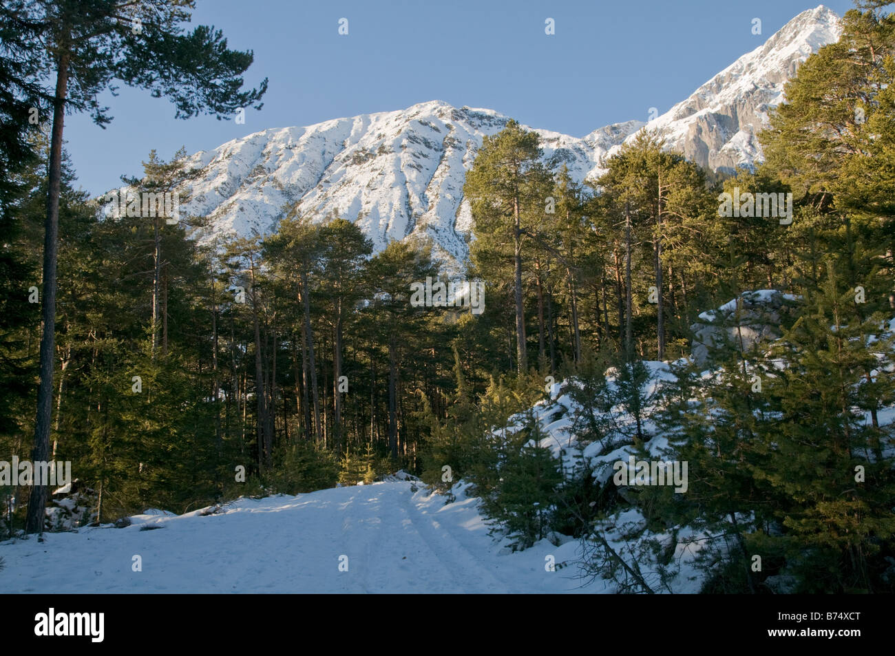 Snowy winter landscape. The Alps Stock Photo - Alamy