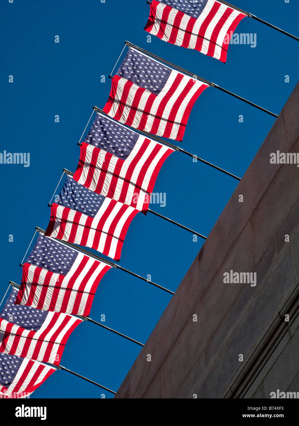 Against a clear blue sky American flags wave in the sun in Los Angeles ...
