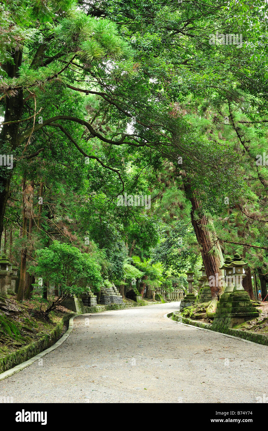 Nara kouen hi-res stock photography and images - Alamy