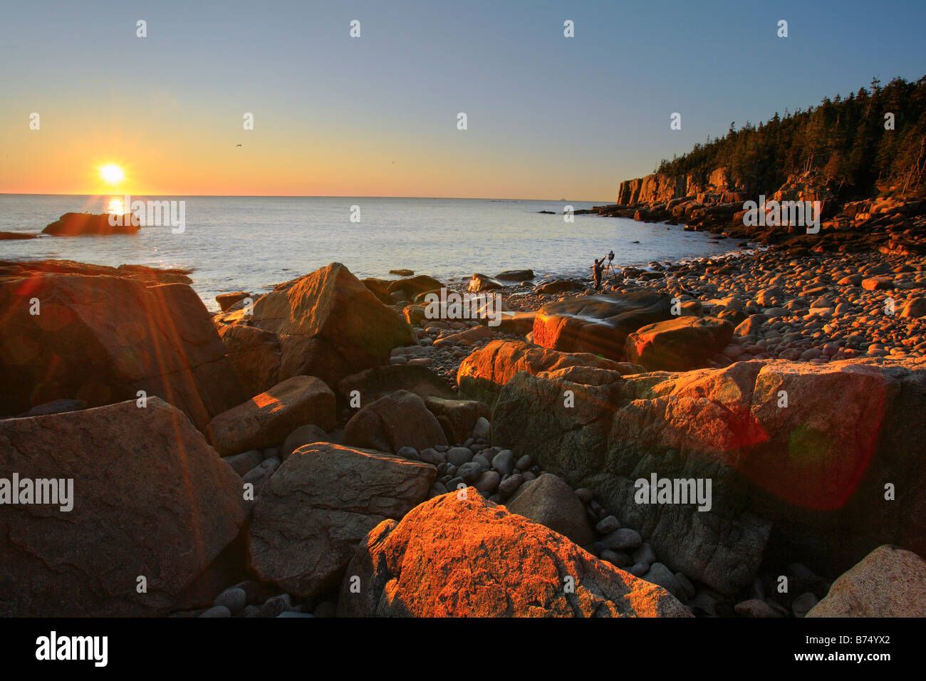 Photographer at Sunrise, Otter Cliff, Acadia National Park, Maine, USA ...
