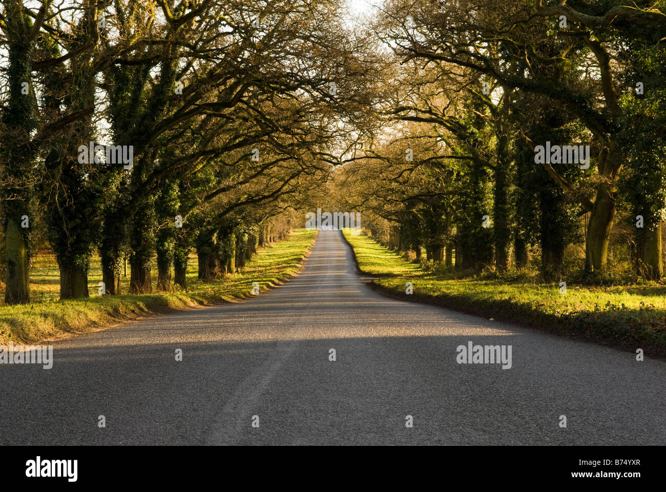 Barnham road hi-res stock photography and images - Alamy