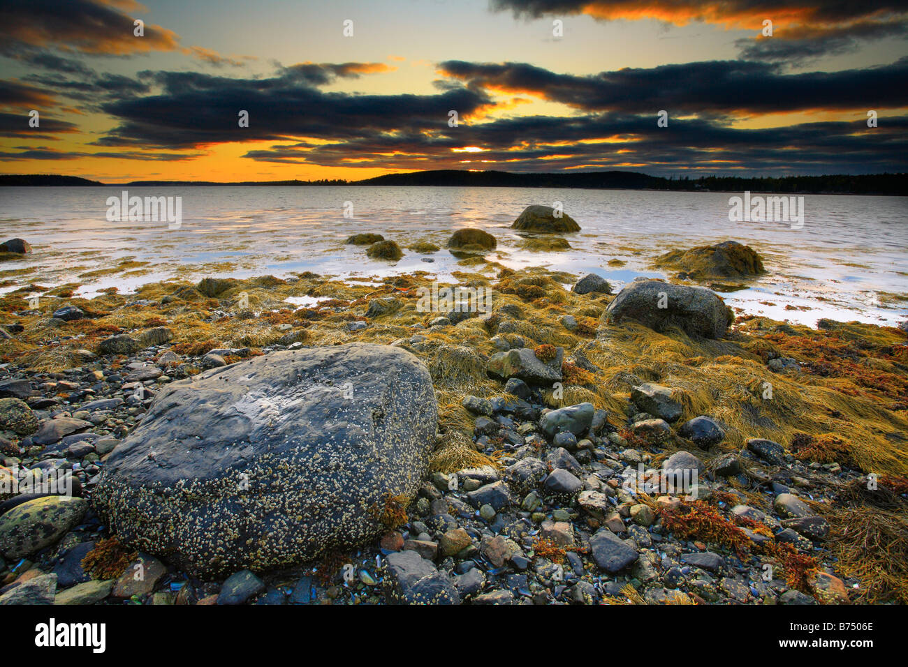 Sunset, Pretty Marsh, Acadia National Park, Maine, USA Stock Photo - Alamy