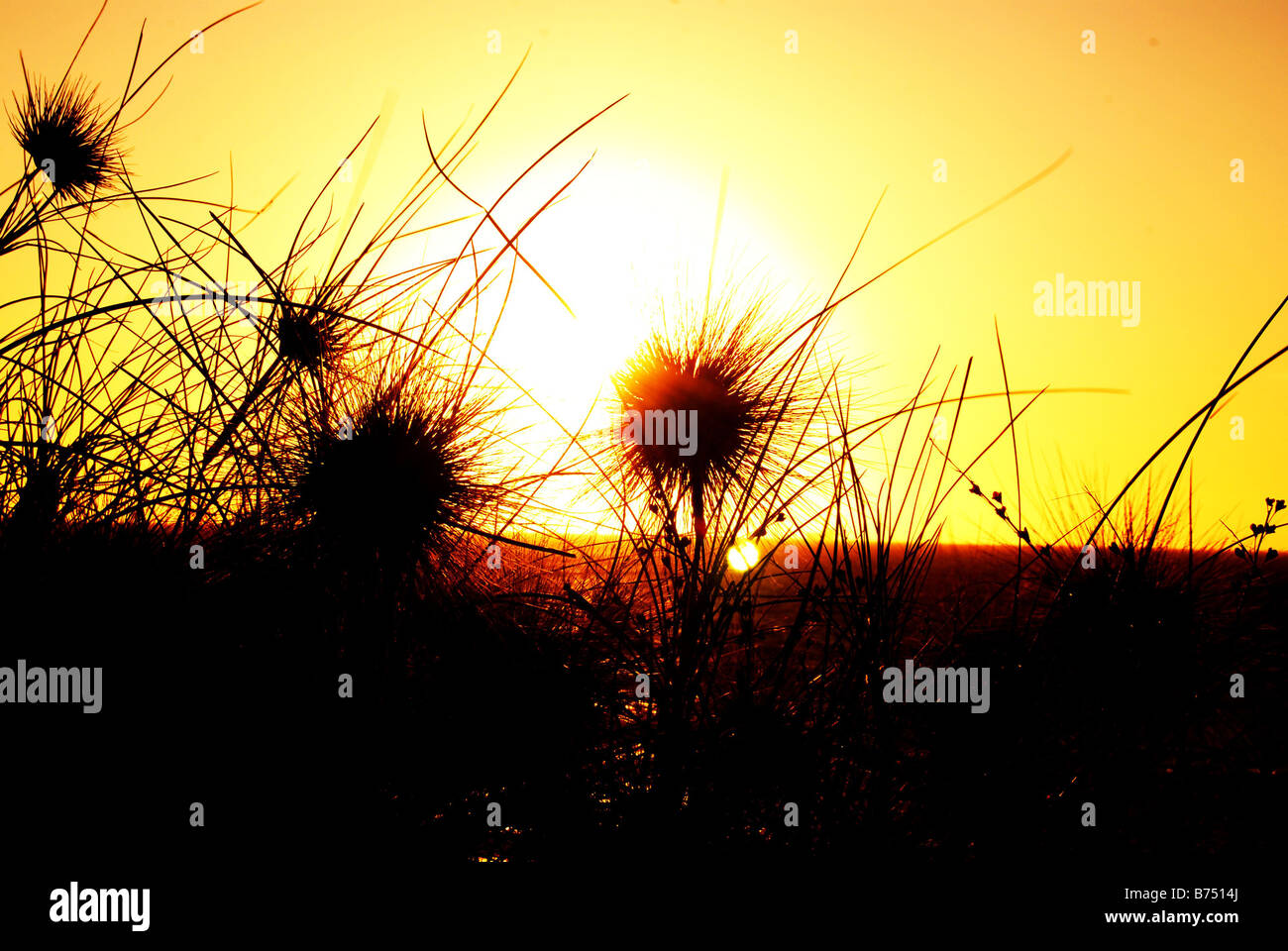 Perth Wa High Resolution Stock Photography and Images - Alamy