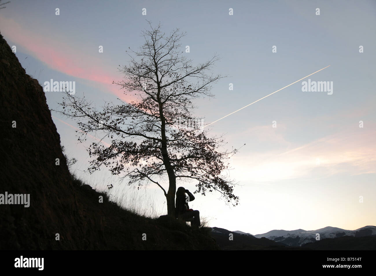 man and tree Stock Photo - Alamy