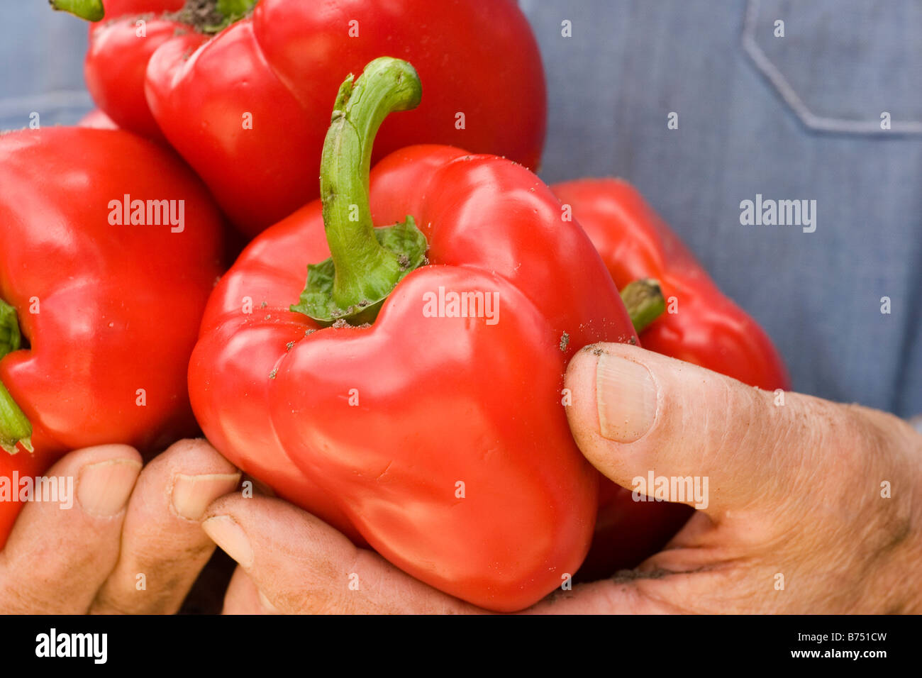 Human Hands High Resolution Stock Photography and Images - Alamy
