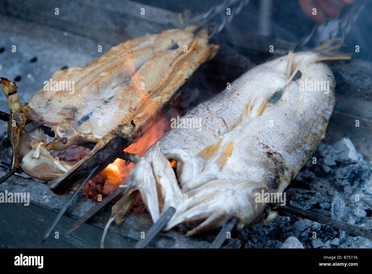 Fish being grilled at an outdoor barbecue stall in Xinjiang, China ...
