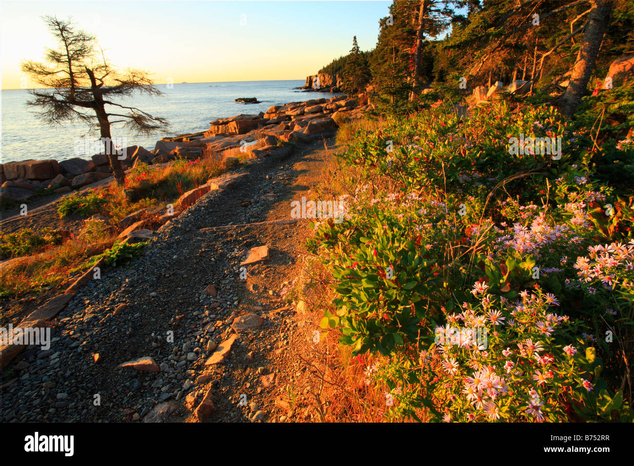 Sunrise, Ocean Trail, Otter Cliff, Acadia National Park, Maine, USA ...