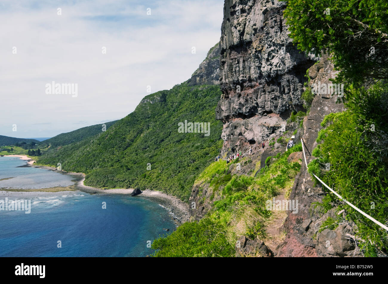 "Hiking the vertical cliffs of Mt Lidgbird from Mt Gower Lord Howe ...