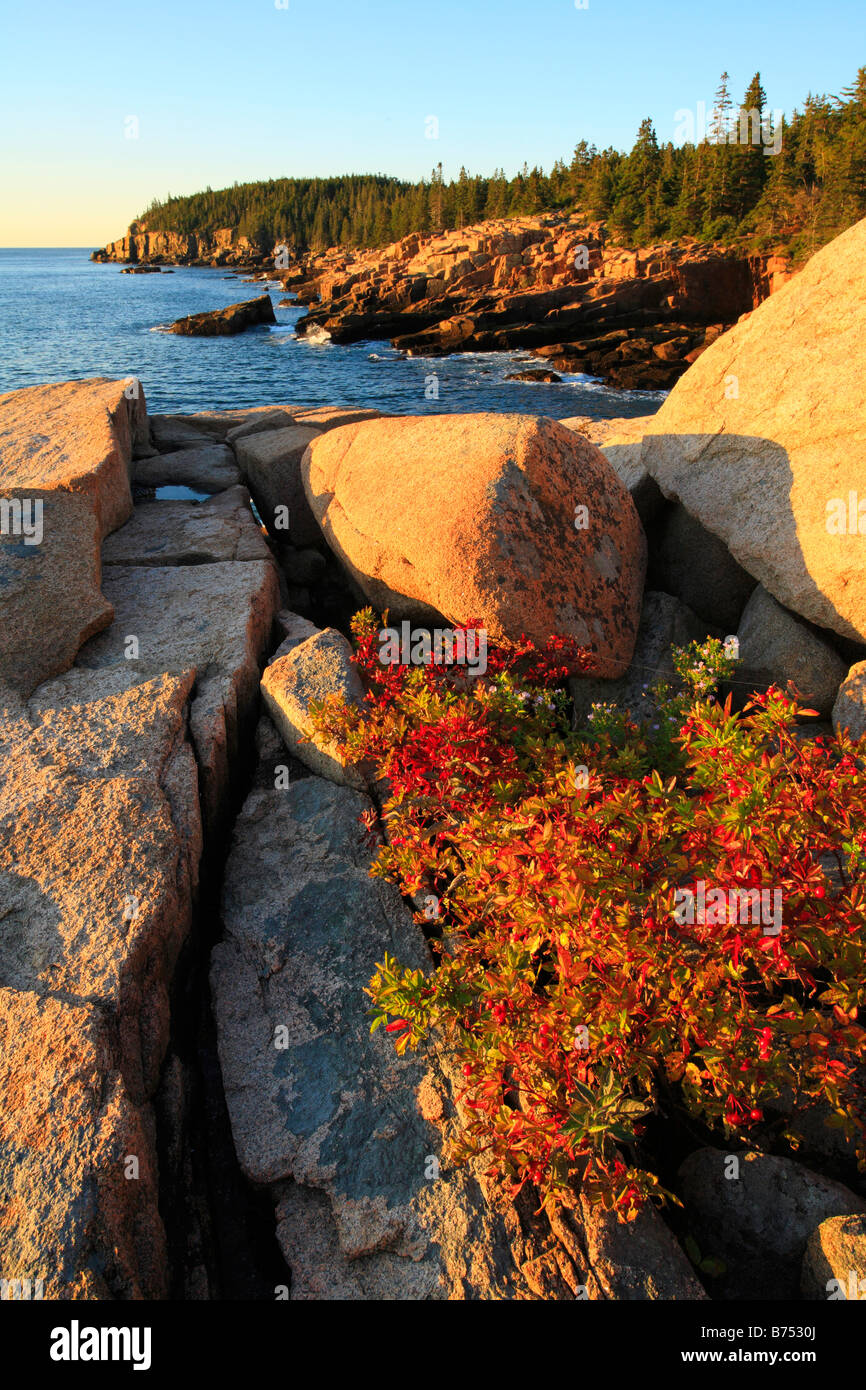 Sunrise, Otter Cliff, Acadia National Park, Maine, USA Stock Photo - Alamy