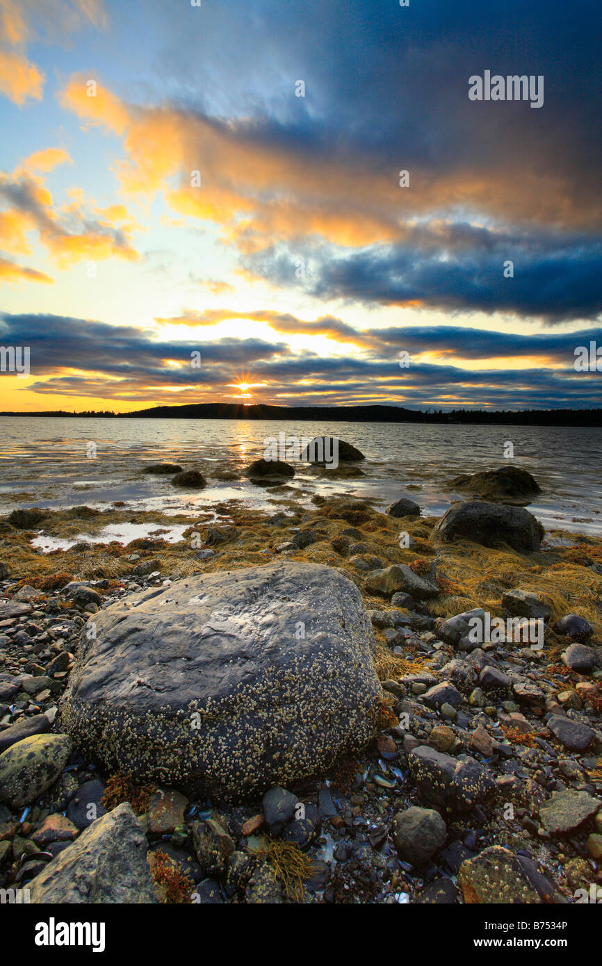 Pretty marsh hi-res stock photography and images - Alamy