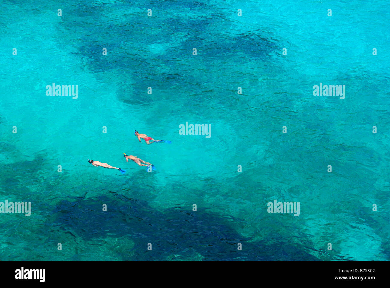 Swimmers - birds eye view Stock Photo - Alamy