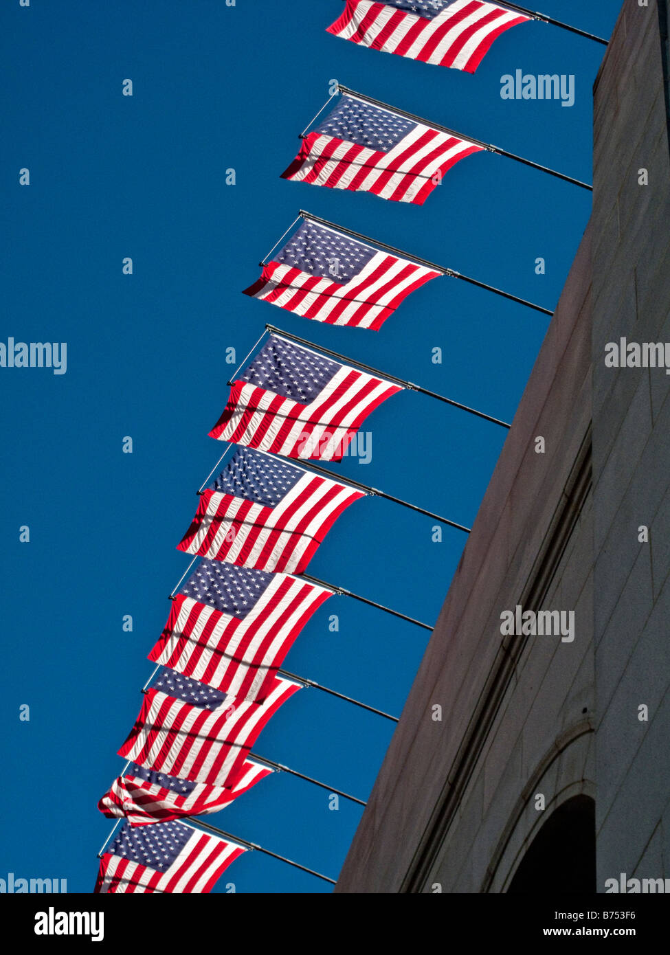 Against a clear blue sky American flags wave in the sun in Los Angeles ...