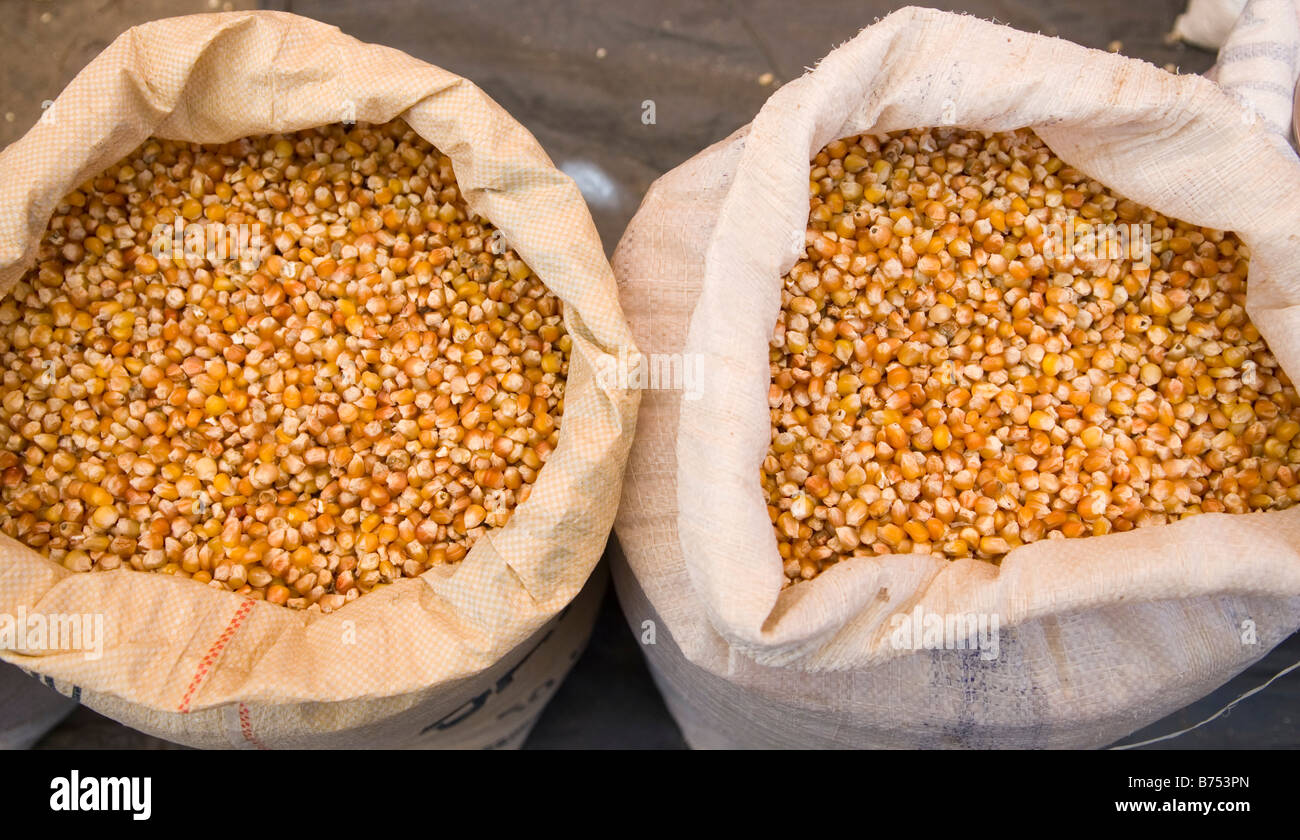 Mesoamerica maize hi-res stock photography and images - Alamy