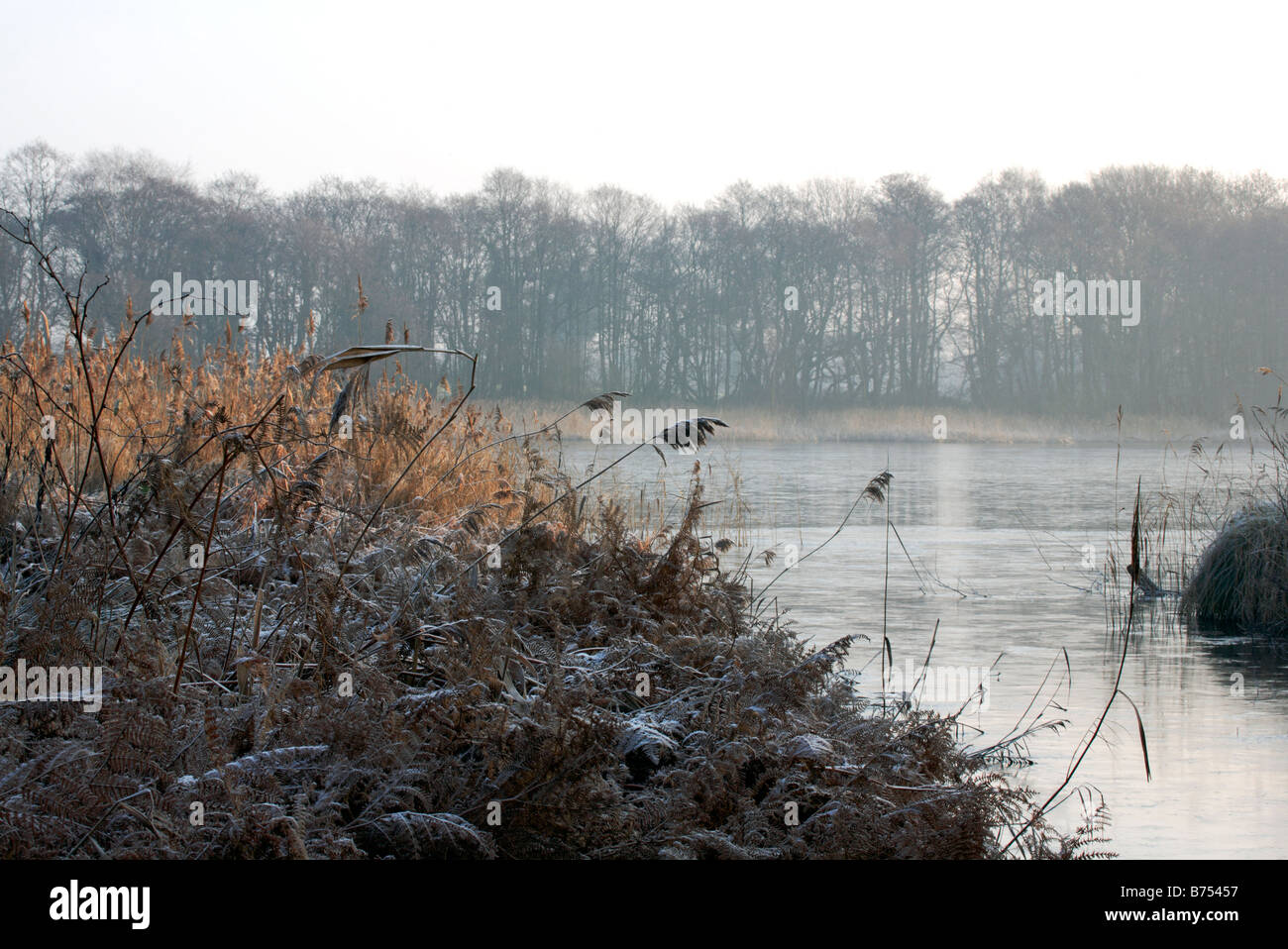Alderfen Broad Nature Reserve, Norfolk, UK, in winter Stock Photo - Alamy