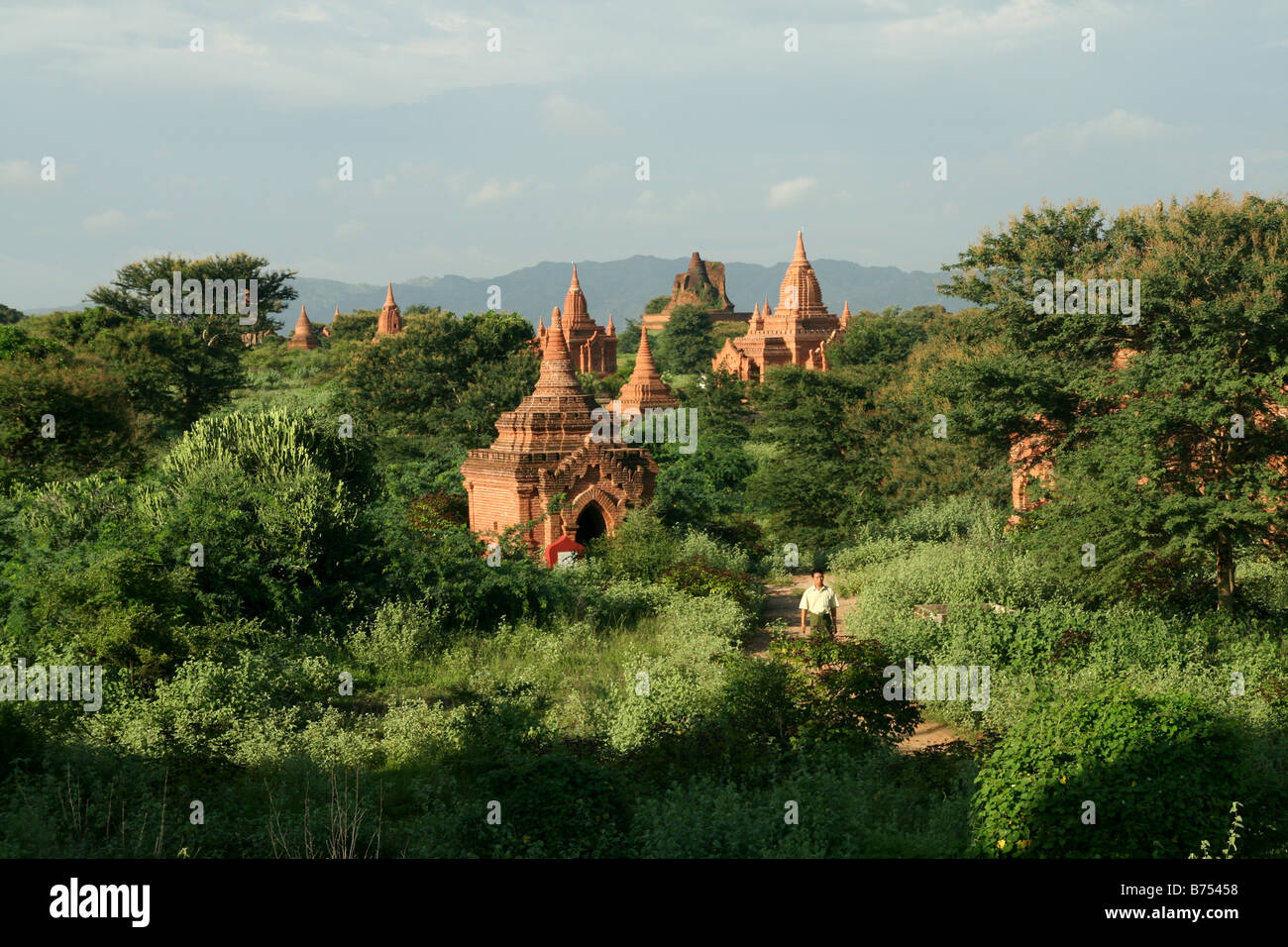 Solid gold buddha in temple hi-res stock photography and images - Alamy