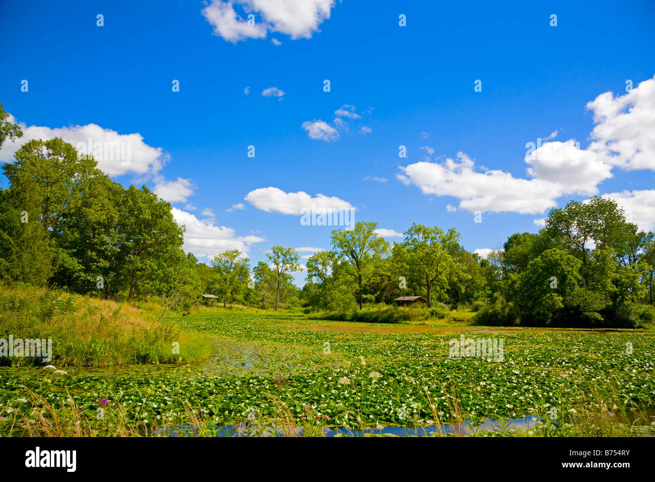 How to landscape hi-res stock photography and images - Alamy