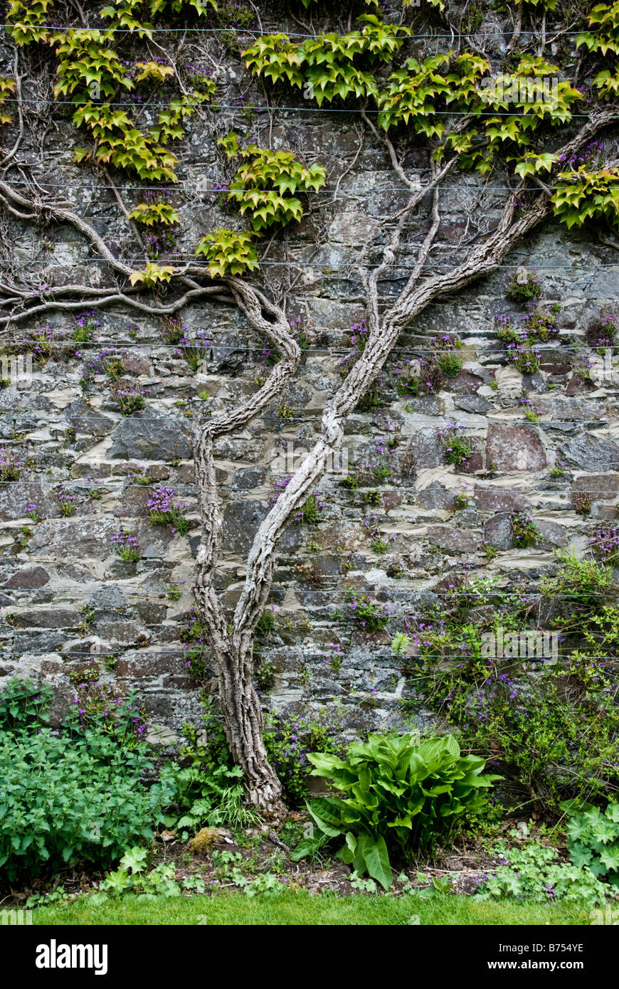 Merging natural hi-res stock photography and images - Alamy