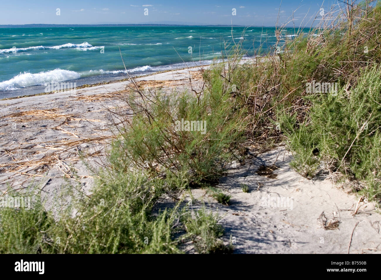 Bulun Tuo lake is a large brackish lake in Altai county in the northern ...
