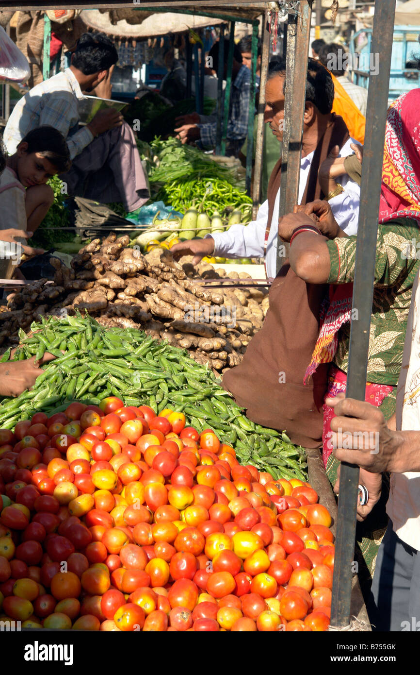 indian stall in the bikaner vegetable market in the old town Stock ...