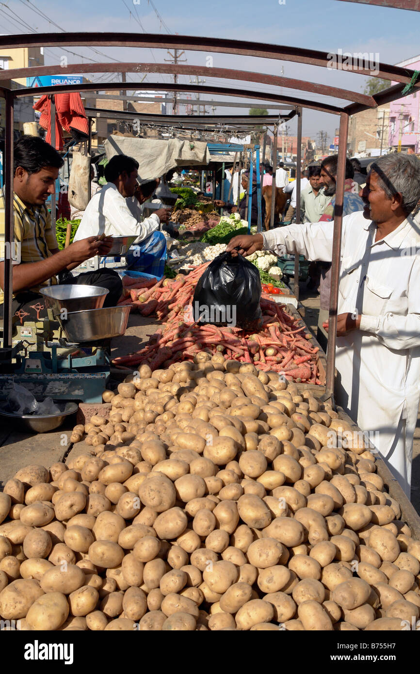 indian potato stall in the bikaner vegetable market in the old town ...