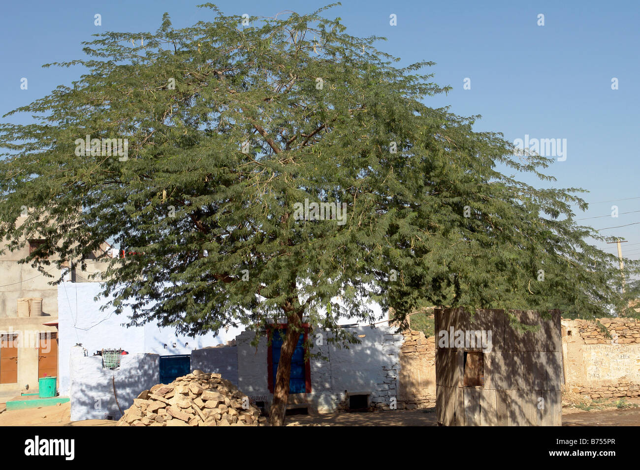 typical traditional rajasthan village house Stock Photo - Alamy