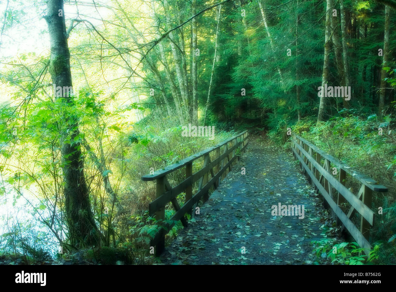 Rice lake canada hi-res stock photography and images - Alamy