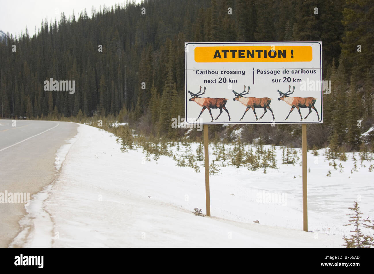 Caribou crossing sign hi-res stock photography and images - Alamy