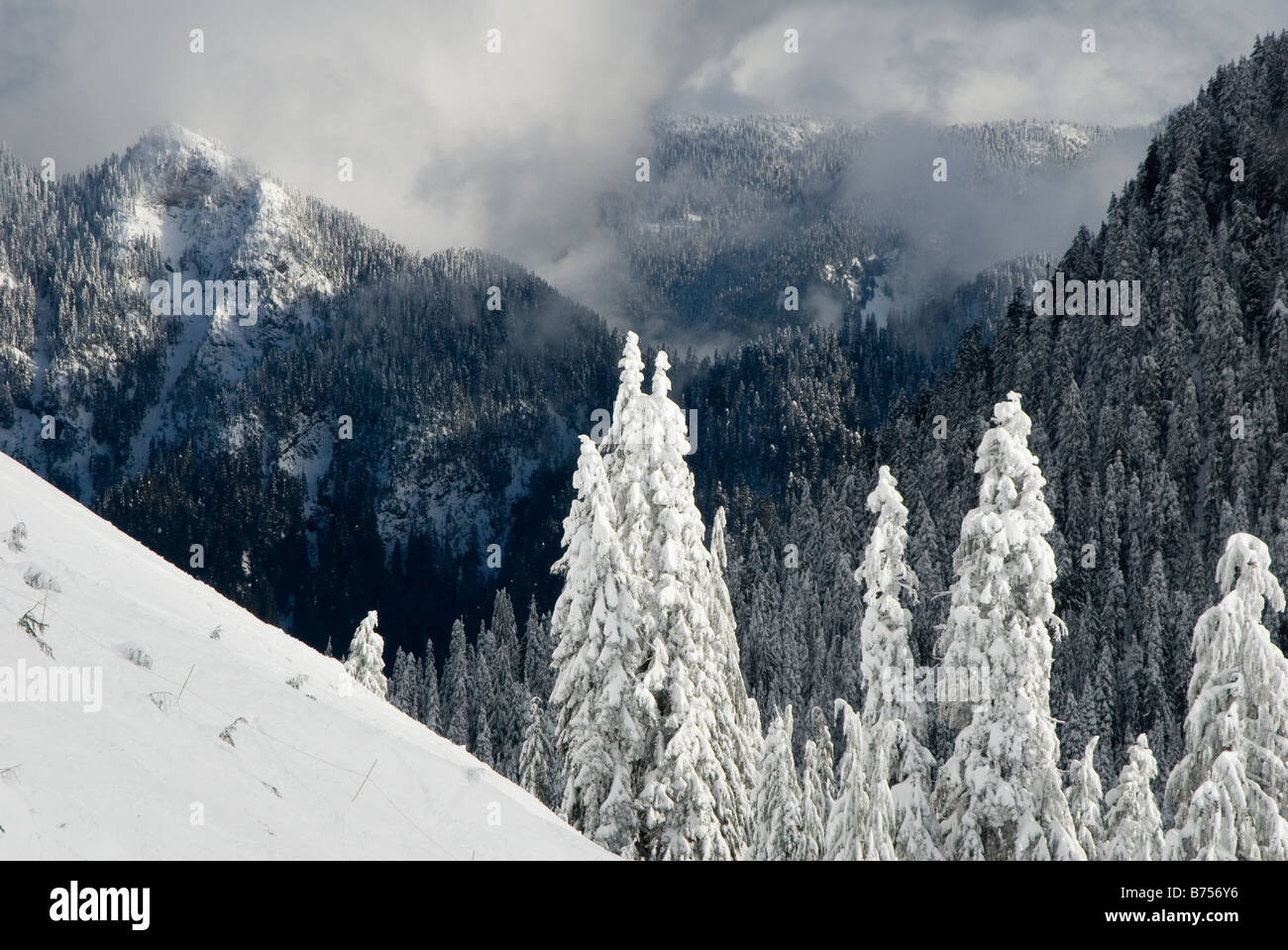 Mountains of north vancouver hi-res stock photography and images - Alamy