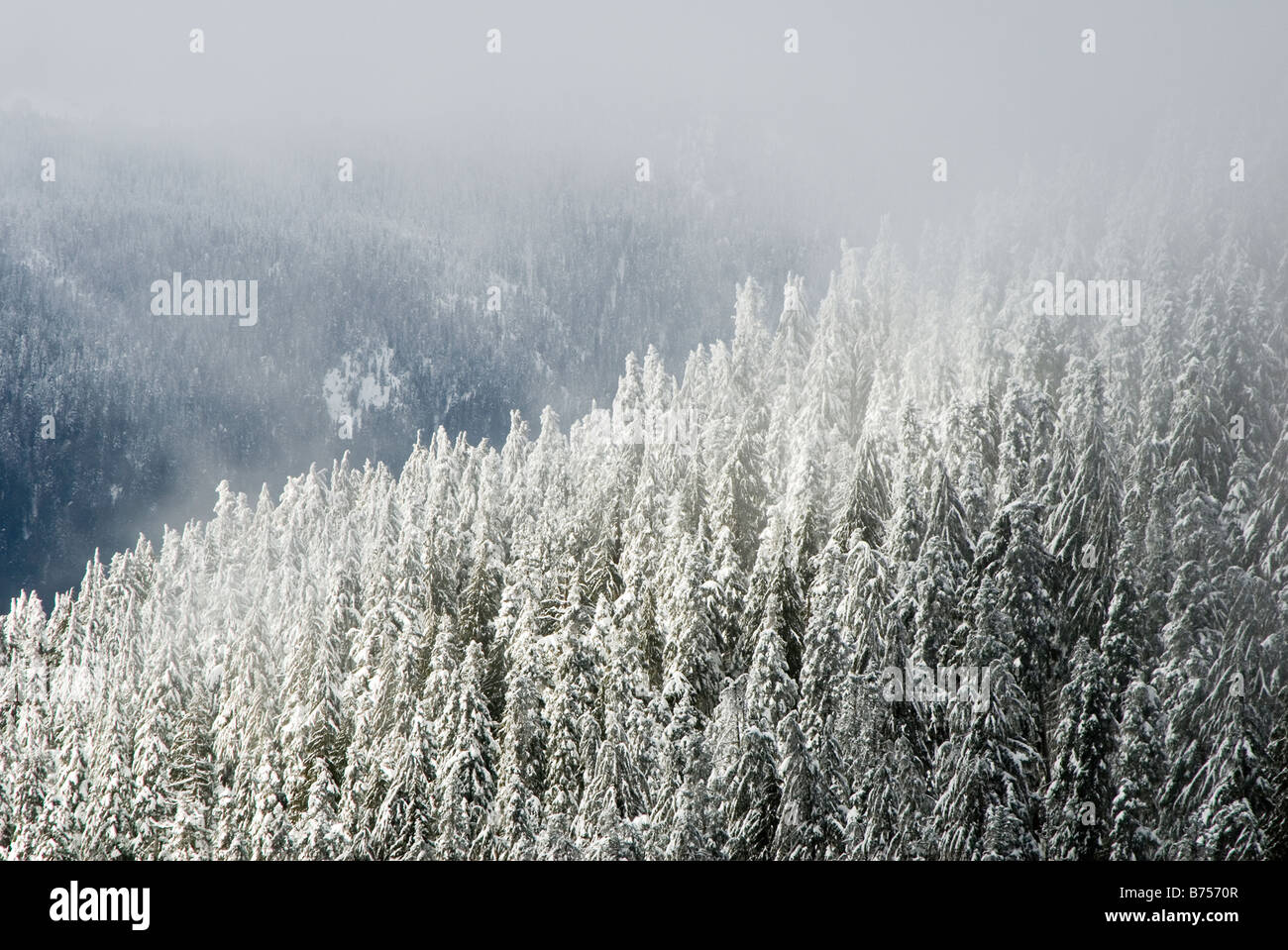 North Shore Mountains, Vancouver, BC Stock Photo - Alamy
