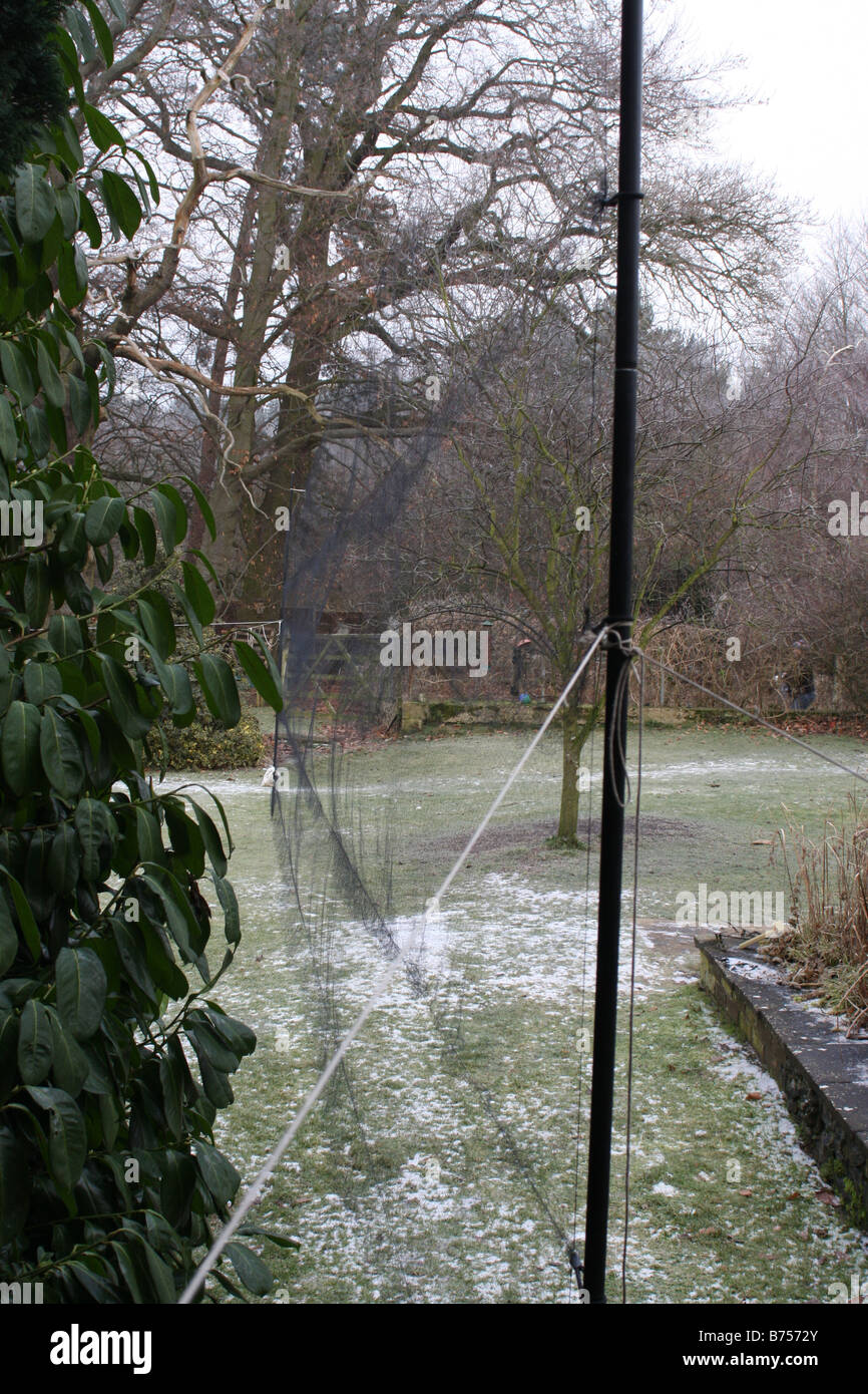 Mist net hi-res stock photography and images - Alamy