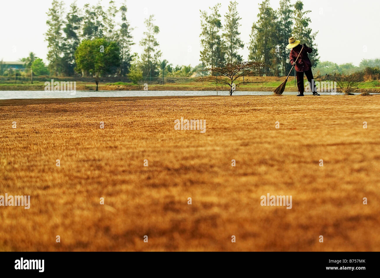 Sweeping a field hi-res stock photography and images - Alamy