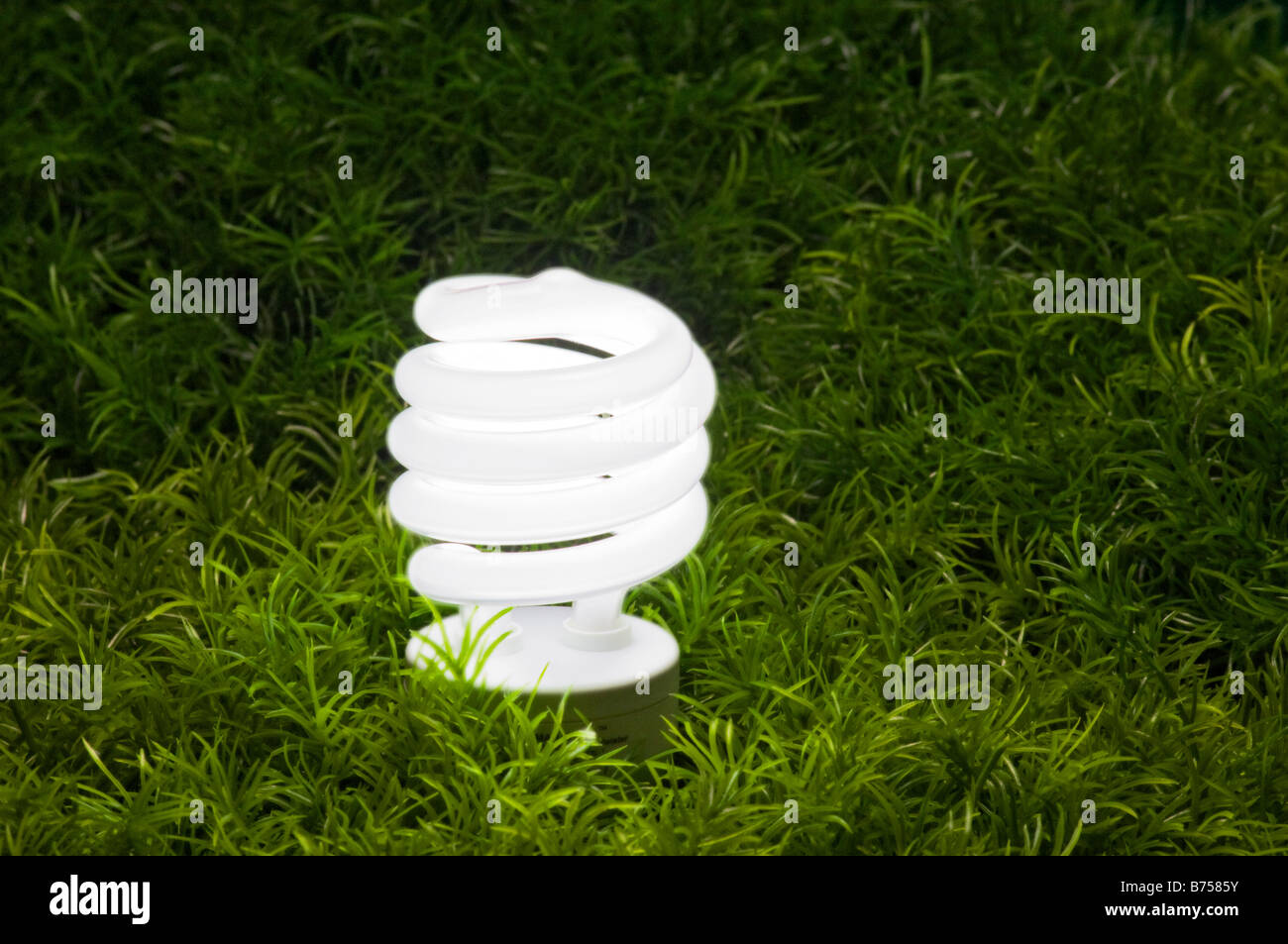 Energy conserving bulbs hi-res stock photography and images - Alamy